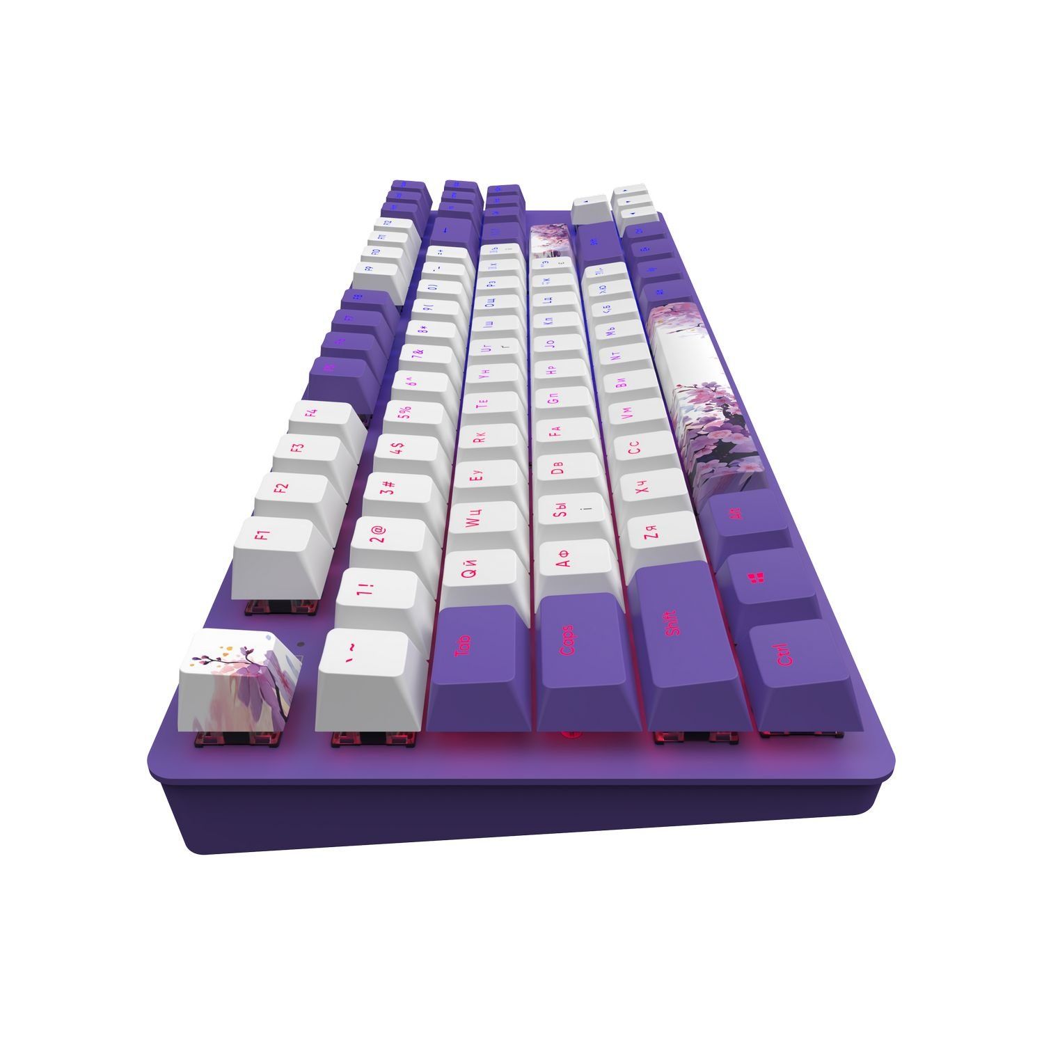 Купить Игровая клавиатура DARK PROJECT One - 87 Violet Horizons - RGB ...